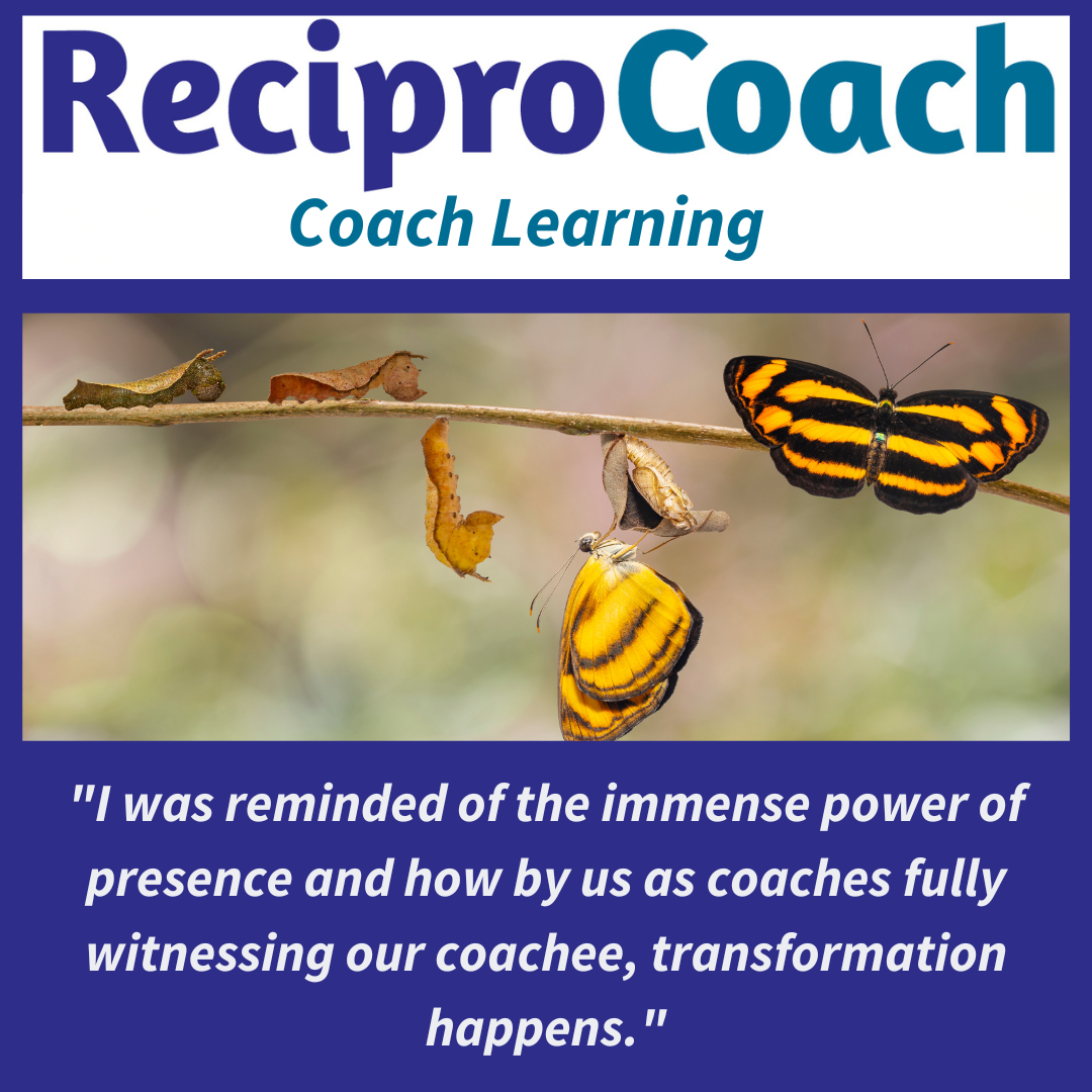Presence, witnessing and transformation – ReciproCoach